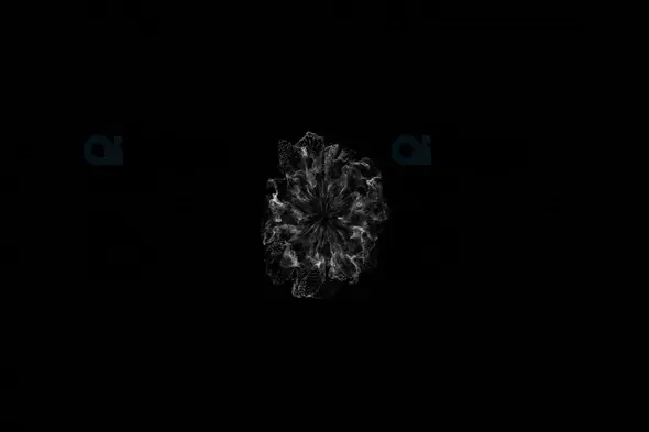 High-Contrast Shockwave Expansion - Cinematic Sci-Fi Burst | AIClips