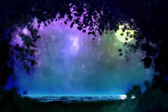 Mystical Night Sky with Glowing Moon and Starry Water Animation | AIClips