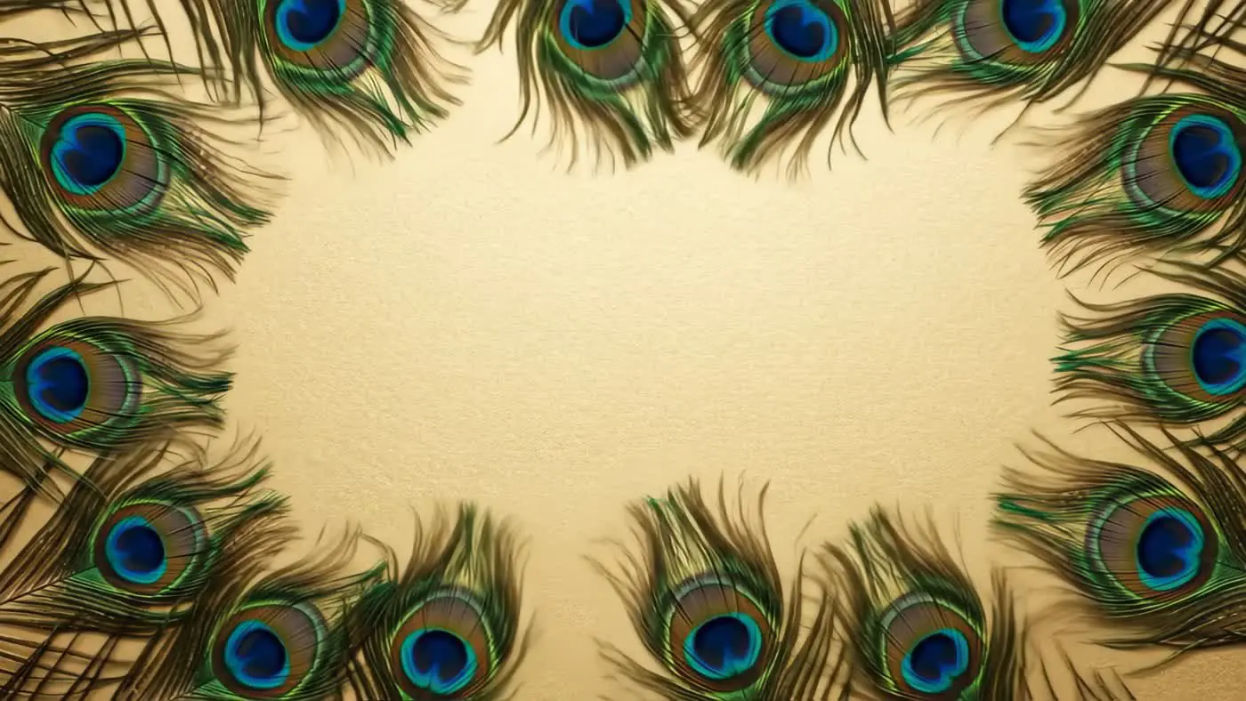 Peacock Feather Circular Border Animation on Golden Paper Texture | AIClips
